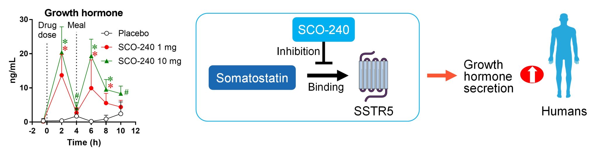 Publication of a clinical phase 1 study of SCO-240: SSTR5 antagonist is ...